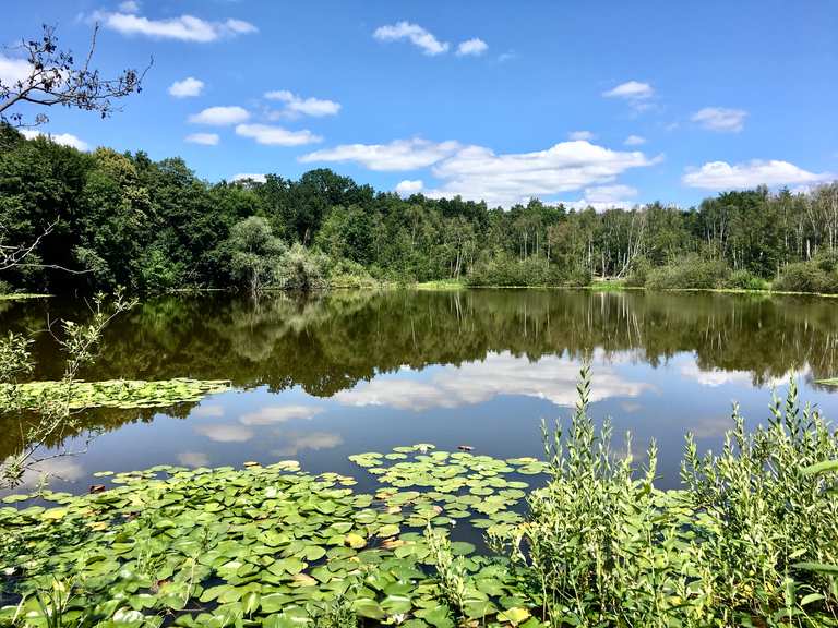 Teufelssee Routes for Walking and Hiking | Komoot