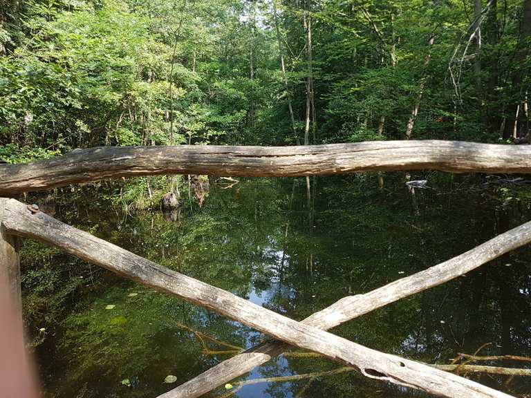 Wildgehege im Spandauer Forst - Berlin, Germany | Hiking Tips & Photos ...