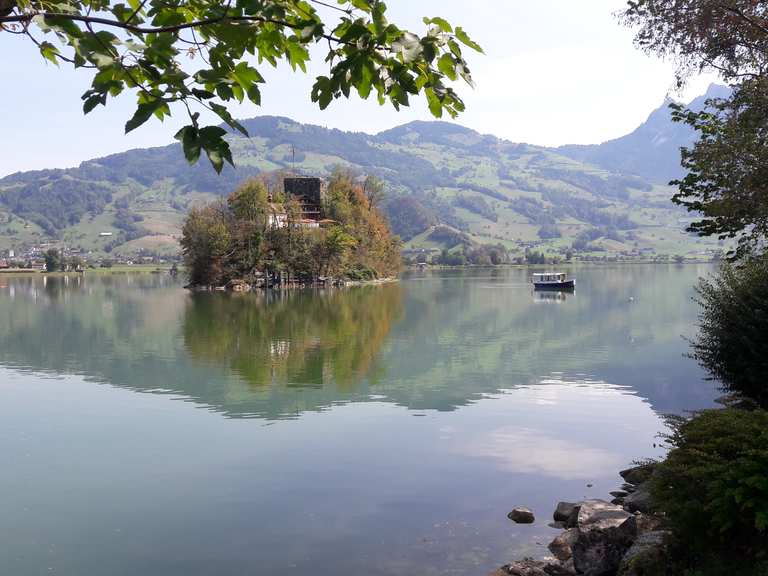 Insel Schwanau: Mountainbike-Touren und -Trails | komoot