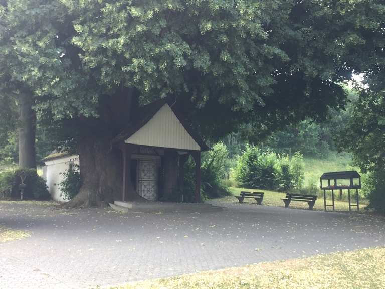 Heilborn Dernbach - Mountain Bike Trails & Tracks | Komoot