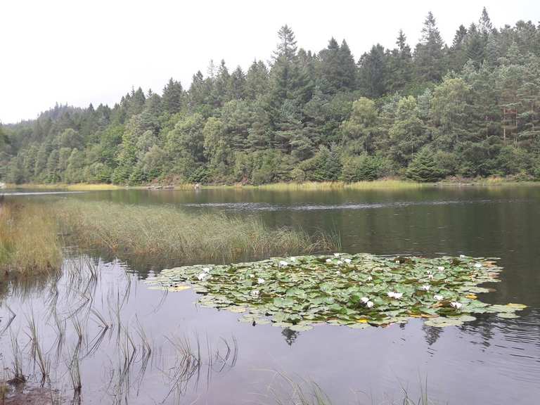 Llyn y Parc Routes for Walking and Hiking | Komoot