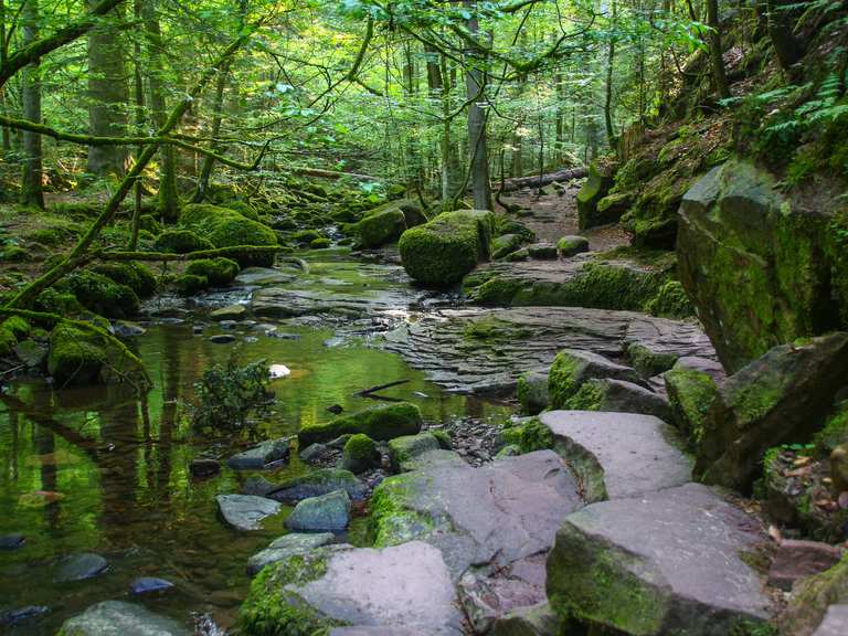 Monbachtal: Wanderungen und Rundwege | komoot