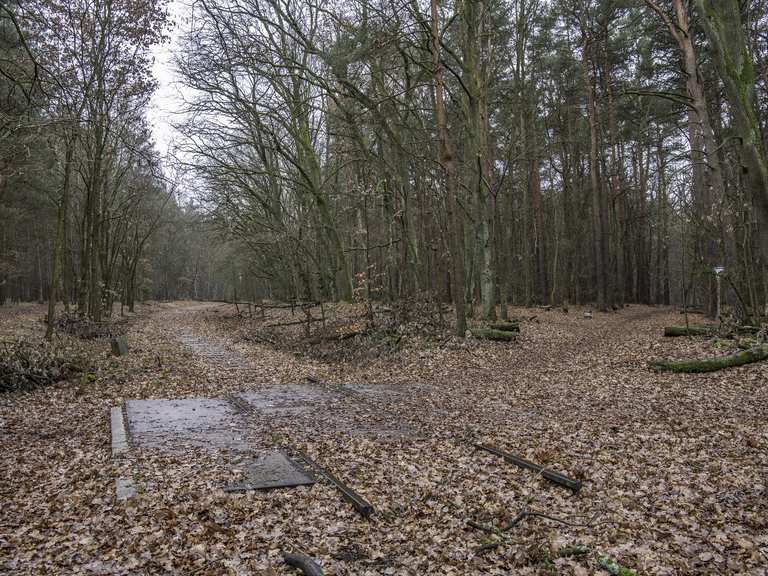 Wildgehege im Spandauer Forst – Kuhlake Rondje vanuit Tegelort ...