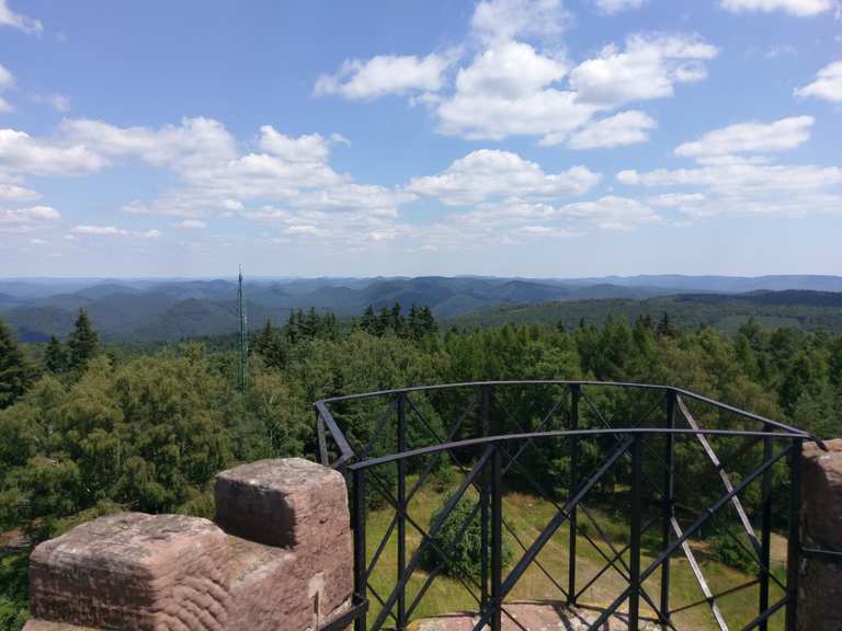 Grand Wintersberg: Wanderungen und Rundwege | komoot