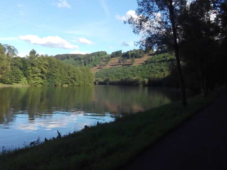 Mainschleife bei Urphar – das Himmelreich vor Augen - Cycle Routes and ...