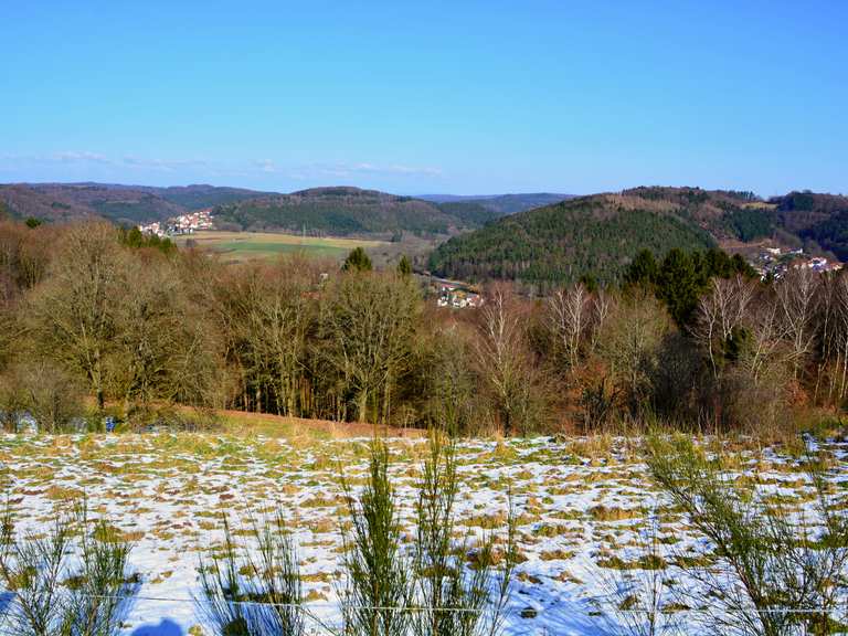 Straußenfarm Hermersberg Routes for Walking and Hiking | Komoot