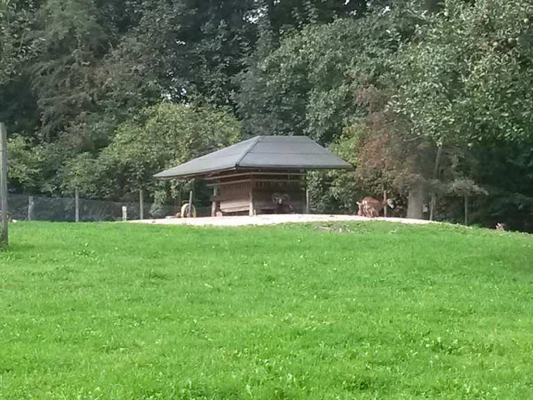 Wildpark: Wanderungen und Rundwege | komoot