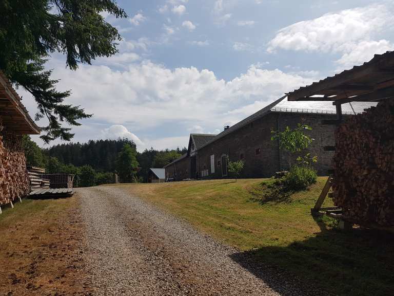 Kloster Reichenstein Routes for Walking and Hiking | Komoot