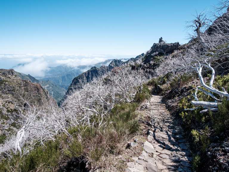 Ascenso al Pico Ruivo y Miradouro Pedra Rija - Recorrido circular desde ...