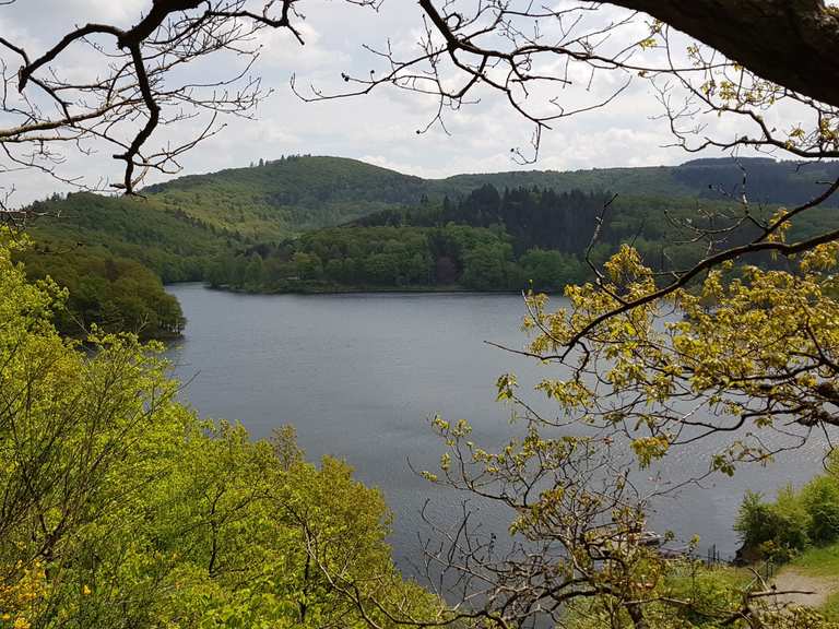 Panoramaweg - Rurseeblick – Blick über den Rursee Rondje vanuit Rurberg ...