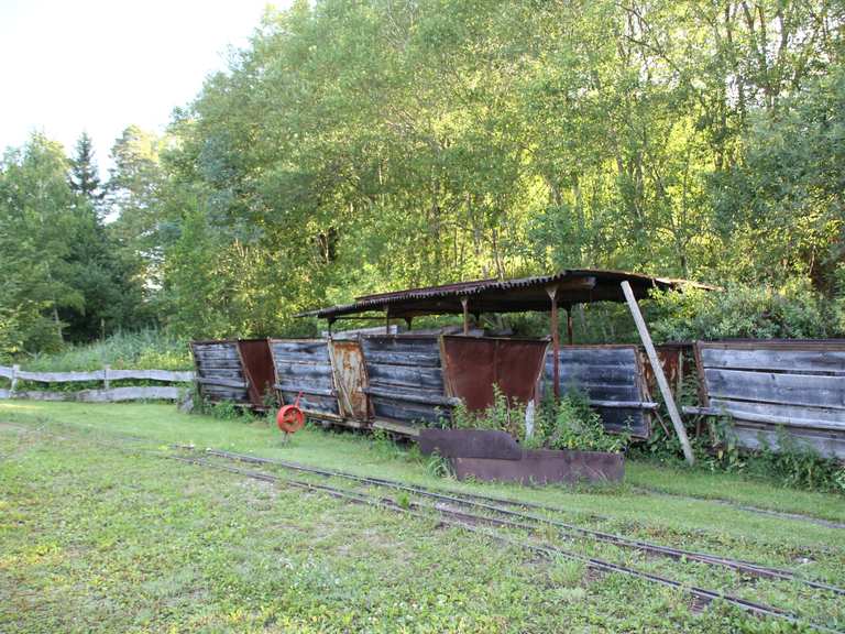 Oberschwäbisches Torfmuseum Bad Wurzach: Wanderungen und Rundwege | komoot