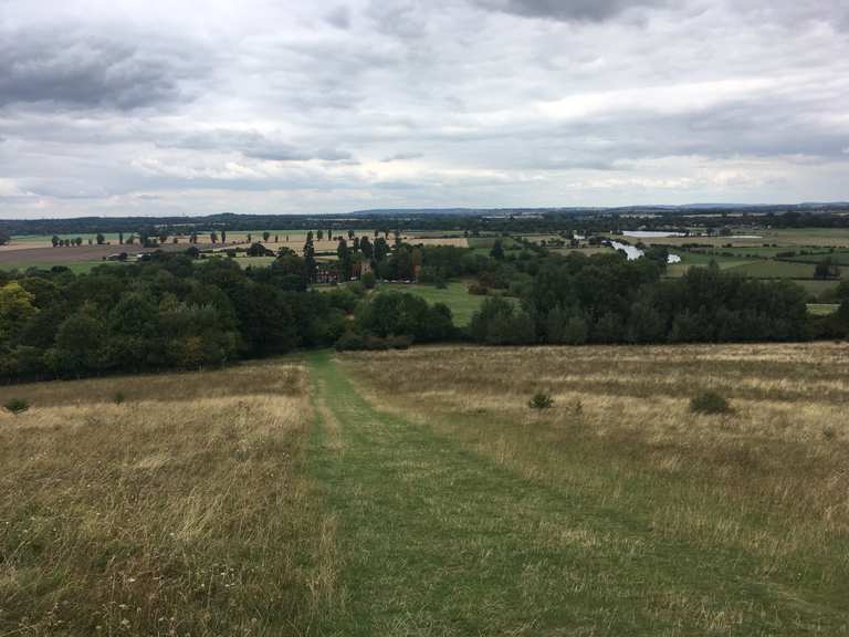 Wittenham Clumps Routes for Walking and Hiking | Komoot