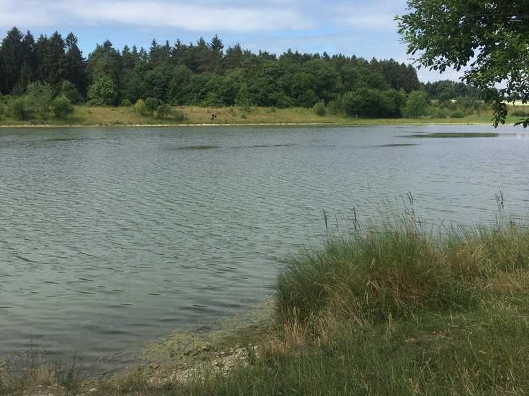 Hermannsee: Wanderungen und Rundwege | komoot