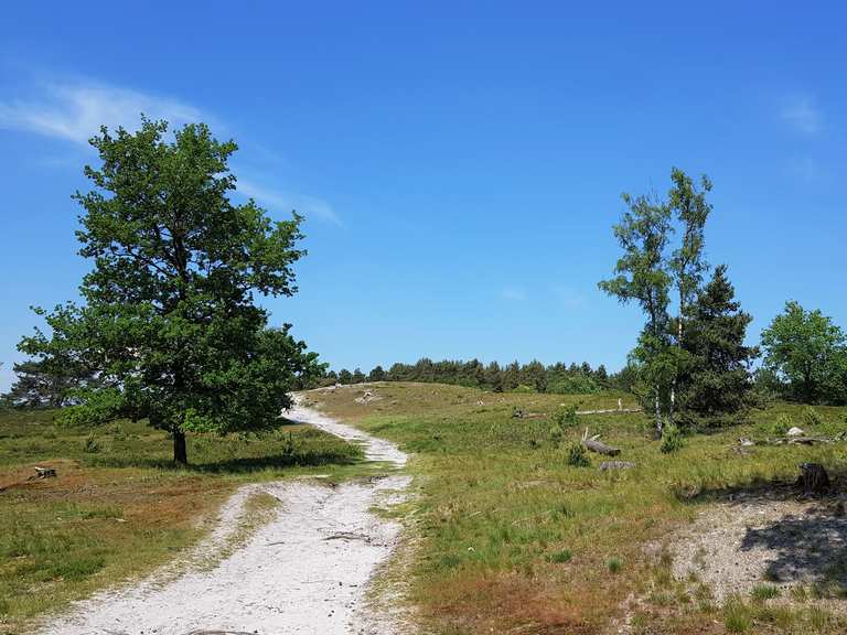 Brunssummerheide wandelroutes en hikes | Komoot