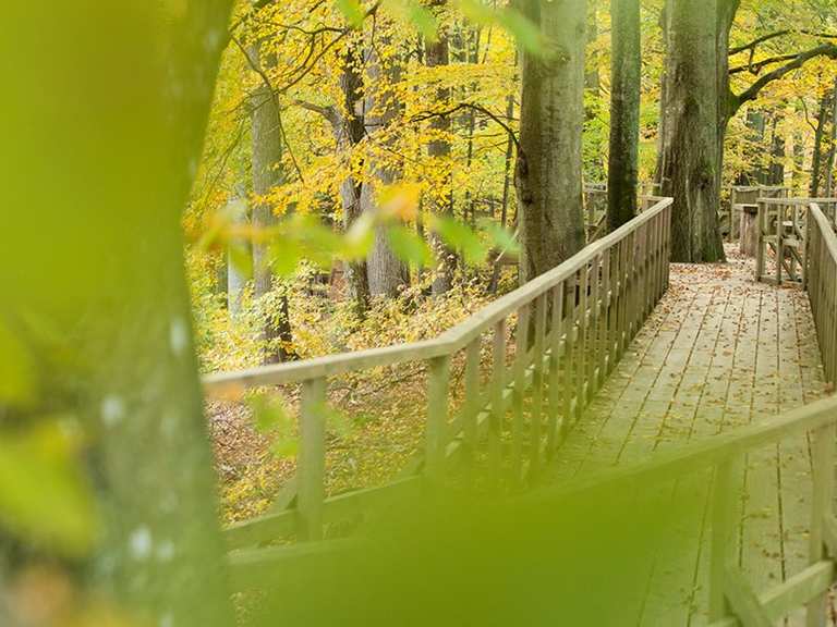 Fulltofta naturcentrum Routes for Walking and Hiking | Komoot