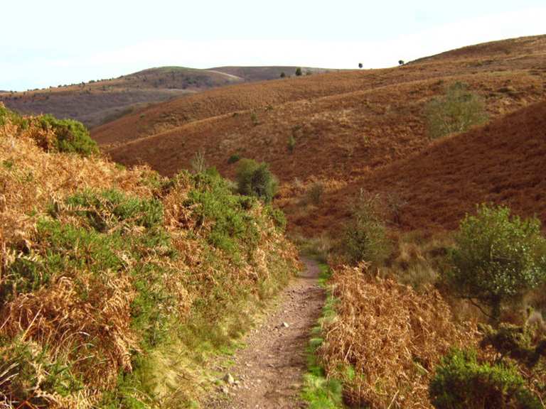 Combes of the North Quantocks | mountain bike ride | Komoot