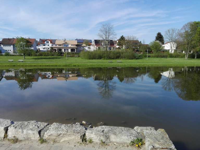 Elsenz See: Mountainbike-Touren und -Trails | komoot