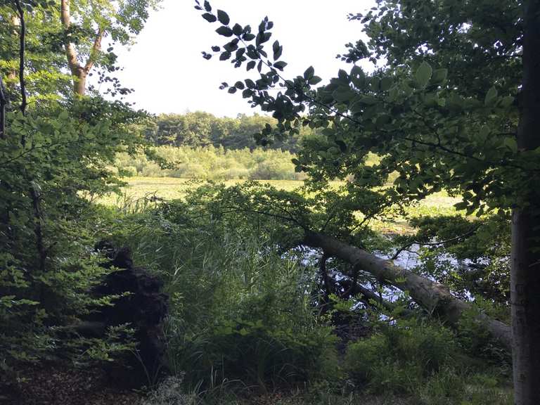 Roikier See Routes for Walking and Hiking | Komoot