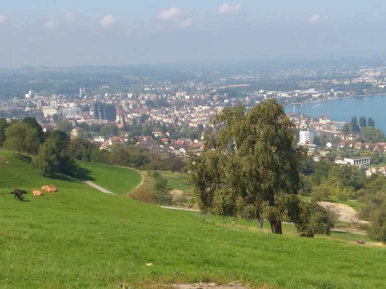 Rorschacherberg - Cycle Routes and Map | Komoot