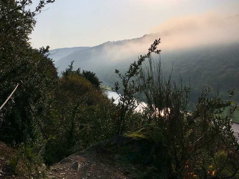 Buxus wandelroute - wandelroutes en hikes | Komoot