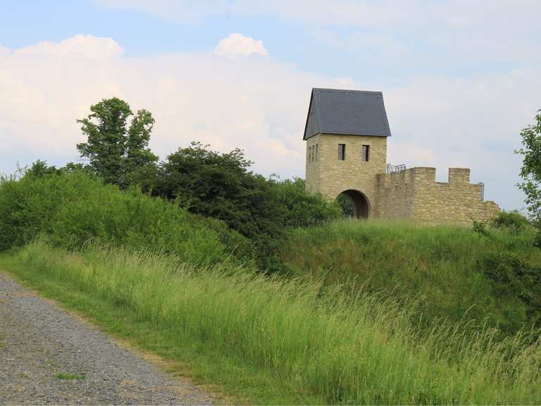 Kaiserpfalz Werla: Wanderungen und Rundwege | komoot
