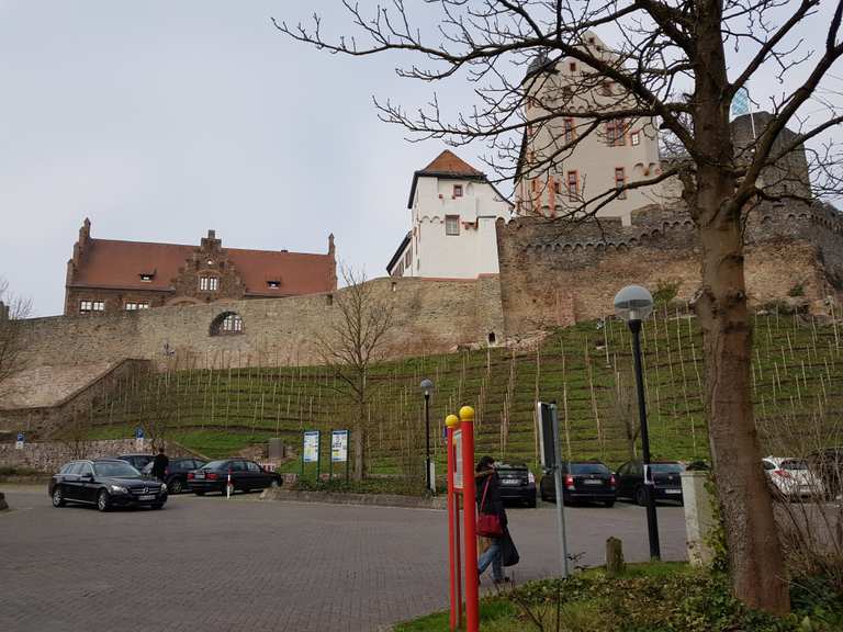 Burg Alzenau Routes for Walking and Hiking | Komoot