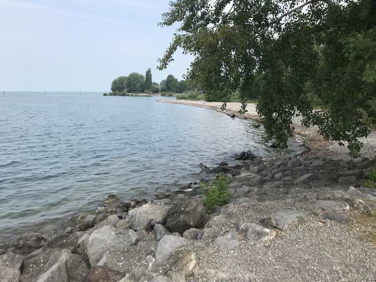 Hafenausfahrt Meichle und Mohr / Argenmündung: MTB-routes en trails ...