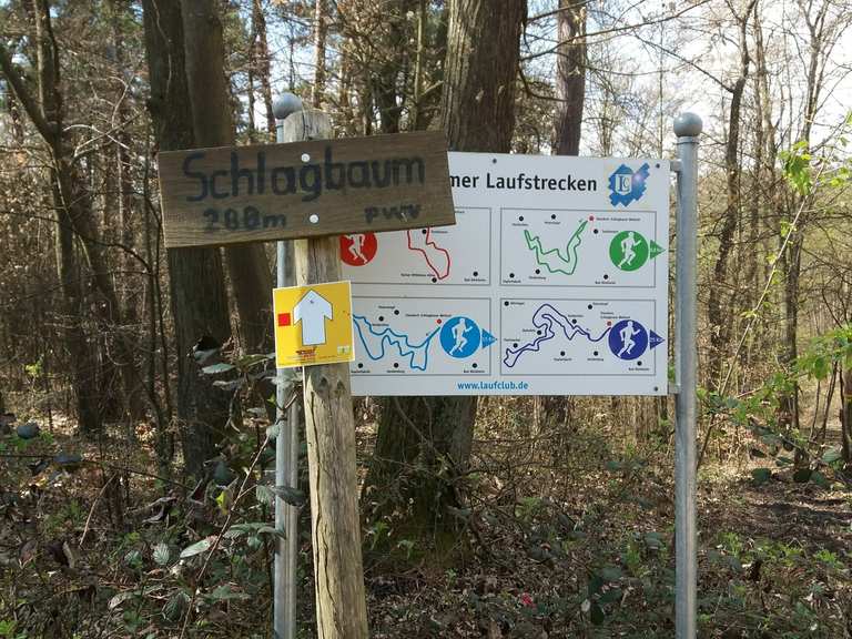 Wegespinne am Schlagbaum: Wanderungen und Rundwege | komoot