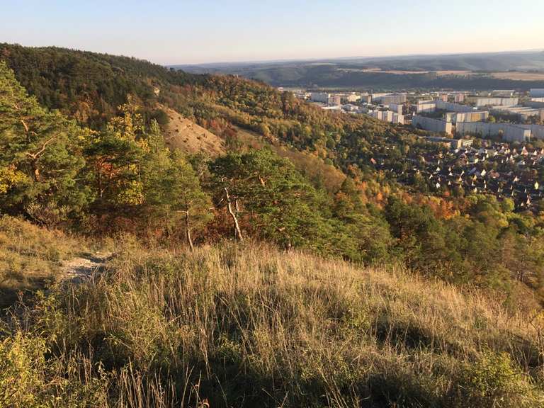 Johannesberg - Mountain Bike Trails & Tracks | Komoot