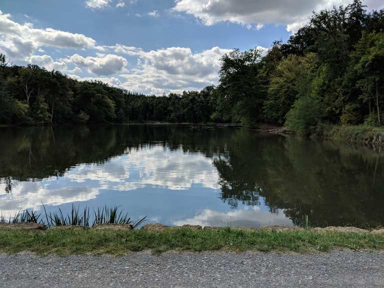 Katzenbachsee: Wanderungen und Rundwege | komoot