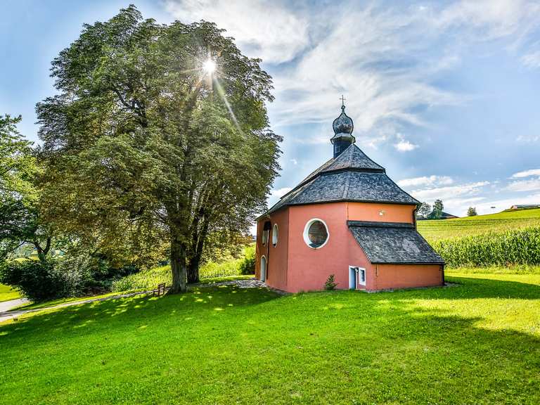 Burgruine Wildstein – Burgruine und Gipfel Wildstein Runde von ...