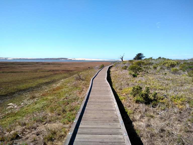 Marina Peninsula Loop Tour über Bayshore Bluffs Park — Morro Bay State ...