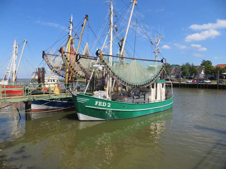 Fischereihafen Fedderwardersiel : Radtouren und Radwege | komoot