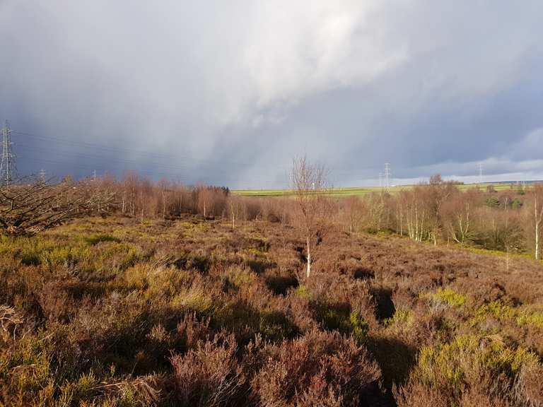 Harden Moor Routes for Walking and Hiking | Komoot