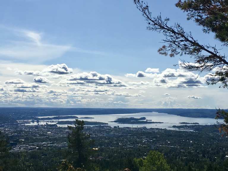 Vettakollen utsikt: Wanderungen und Rundwege | komoot