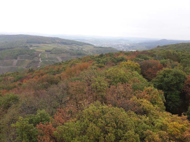Krausberg/Krausbergturm: Mountainbike-Touren und -Trails | komoot
