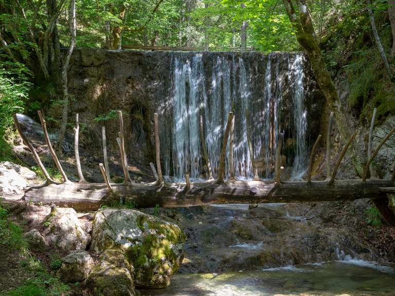 Grüne Gumpe Routes for Walking and Hiking | Komoot