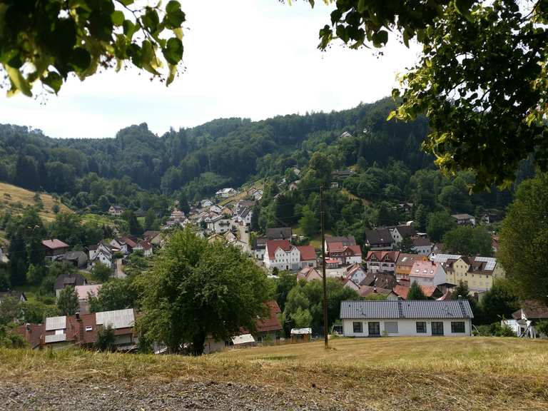 Schönerer Abschnitt mit etwas Waldweg: Wanderungen und Rundwege | komoot