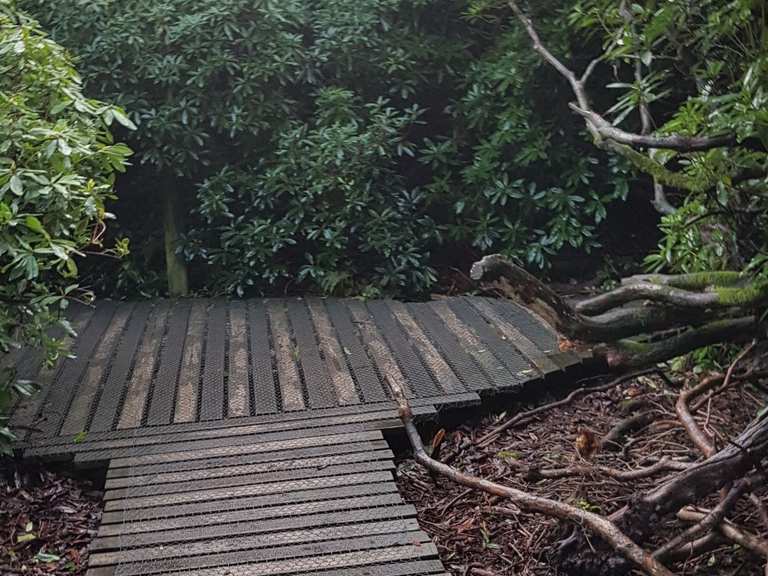 The Labyrinth Routes for Walking and Hiking | Komoot