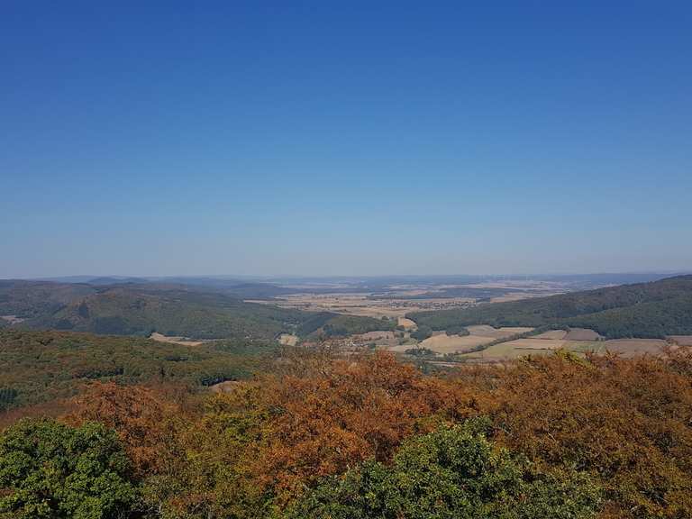 Rimberg wandelroutes en hikes | Komoot