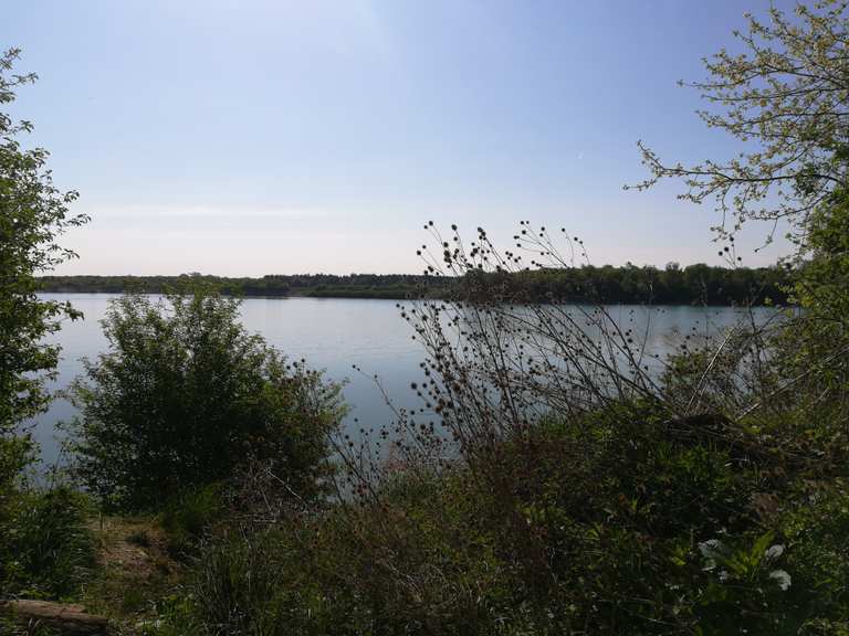 Hollerner See: Wanderungen und Rundwege | komoot