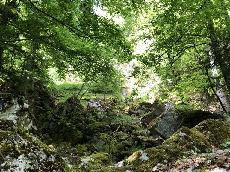 Felsenmeer: Wanderungen und Rundwege | komoot