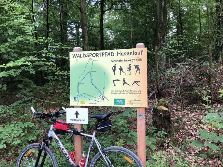 Waldsportpfad Hasenlauf, Sinsheim Sommerhälde - Cycle Routes and Map ...