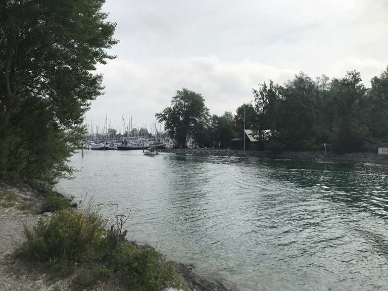 Hafenausfahrt Meichle und Mohr / Argenmündung: MTB-routes en trails ...