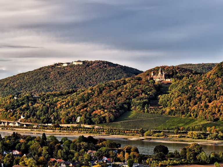 Blick auf das Siebengebirge und das Rheintal vom Rodderberg : Radtouren ...