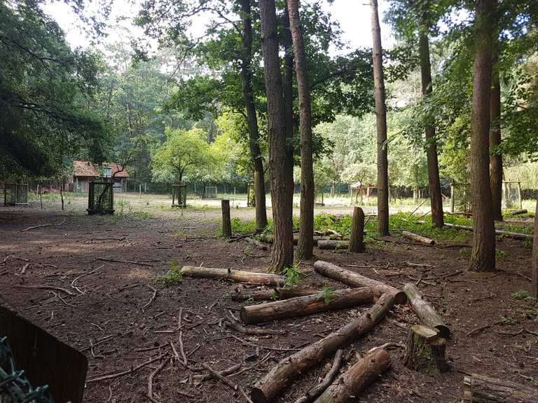 Wildgehege im Spandauer Forst wandelroutes en hikes | Komoot