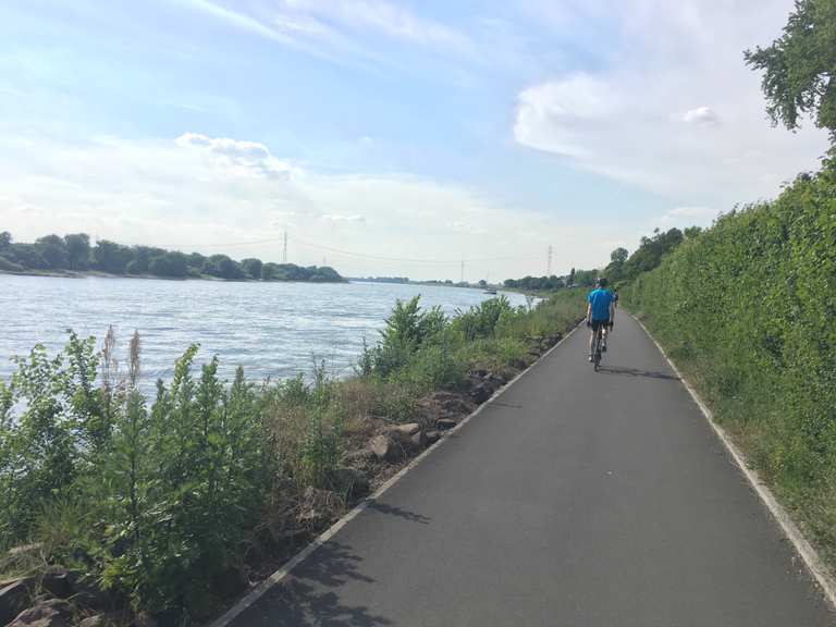 Rheinradweg: Radtouren und Radwege | komoot