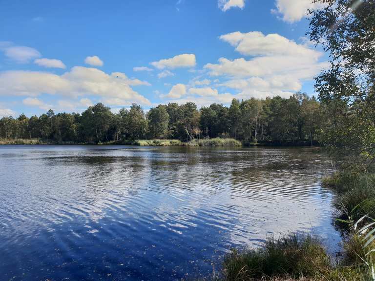 Riedsee im Wurzacher Ried: Wanderungen und Rundwege | komoot