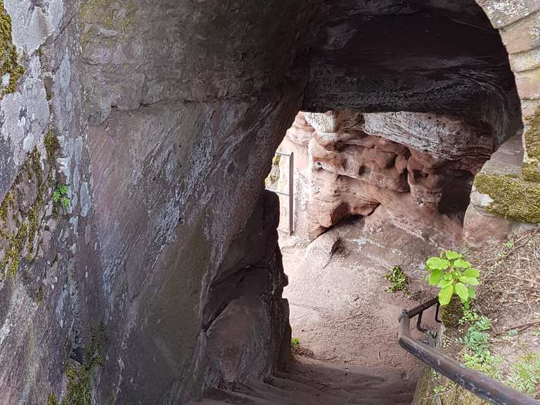 Scharfenberg Castle (Münz) Ruins Routes for Walking and Hiking | Komoot