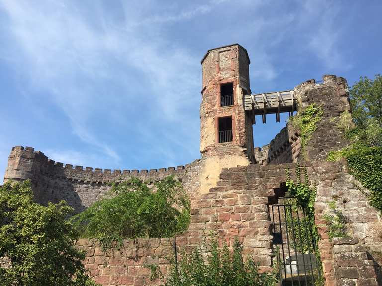 Burg Dilsberg: Wanderungen und Rundwege | komoot